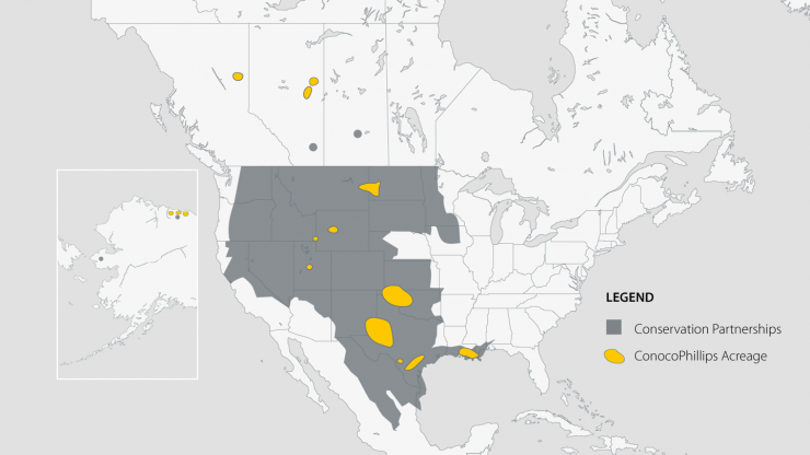 Proactive Conservation | ConocoPhillips