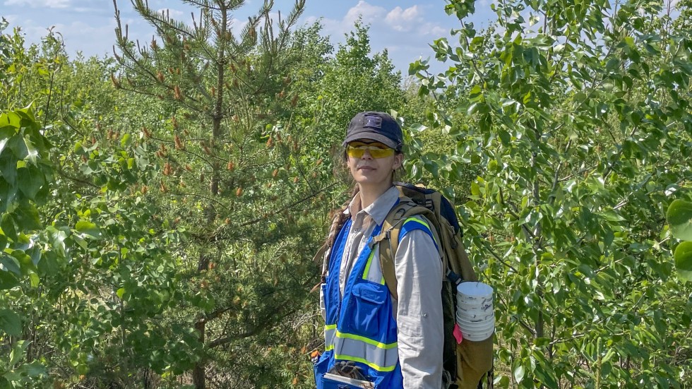 The science behind boreal forest reclamation in Canada | spiritnow stories