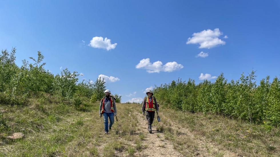 The science behind boreal forest reclamation in Canada | spiritnow stories