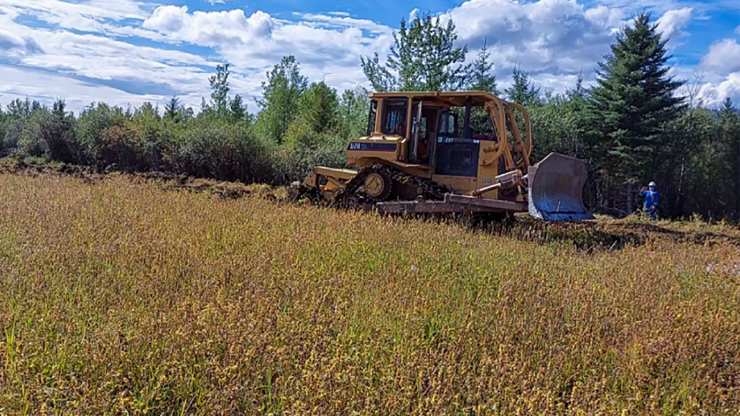 The science behind boreal forest reclamation in Canada | spiritnow stories