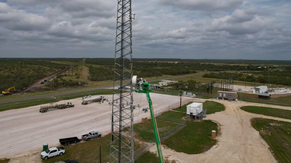 What’s all the buzz about in the Lower 48? | spiritnow stories