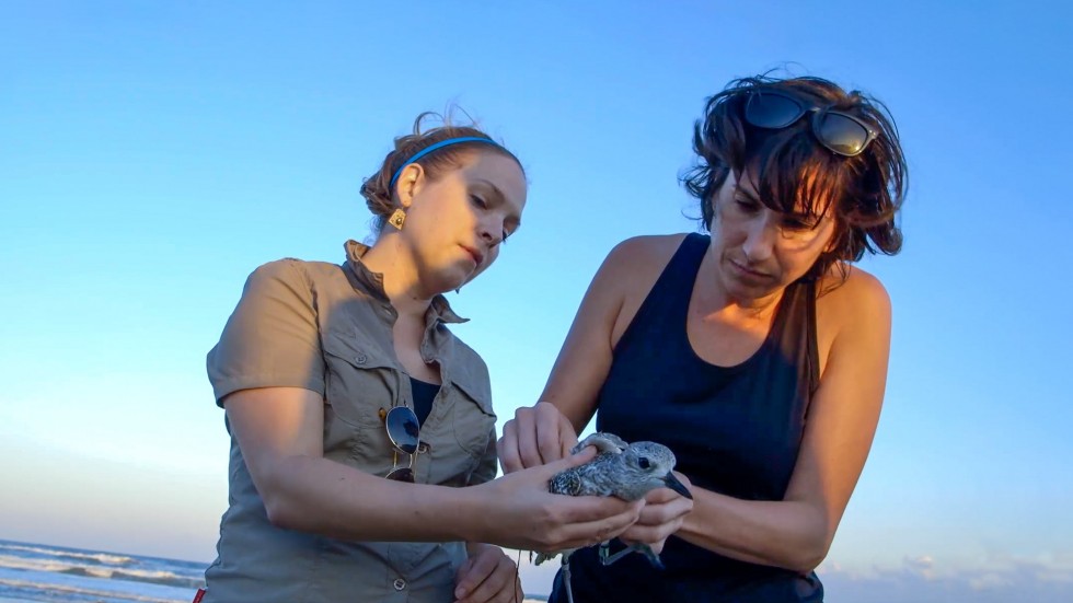 ConocoPhillips supports Smithsonian Migratory Connectivity Project ...