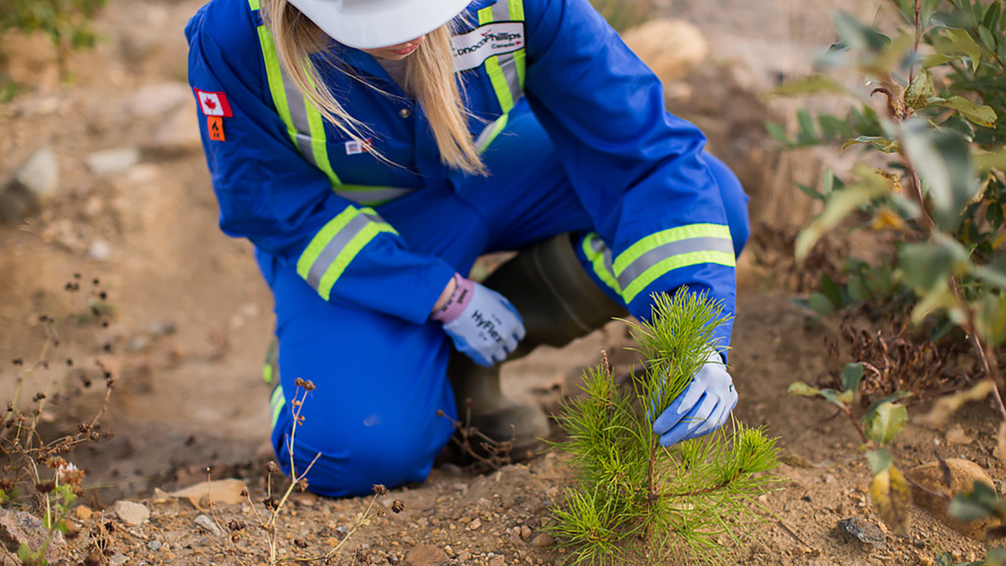 The science behind boreal forest reclamation in Canada | spiritnow stories